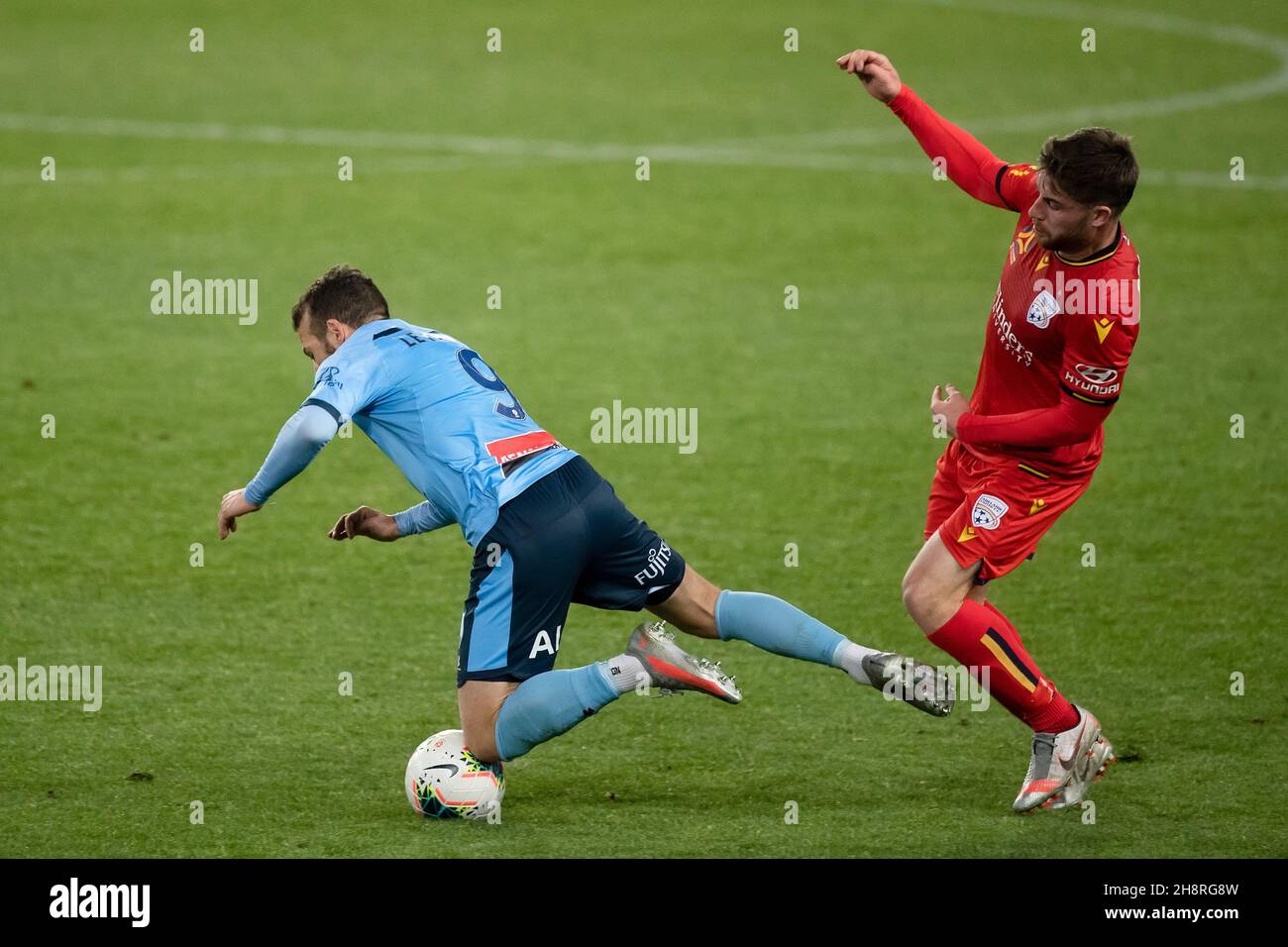 Sydney FC forward Adam Le Fondre (9) and Adelaide United player Ryan Strain (4) collide Stock ...