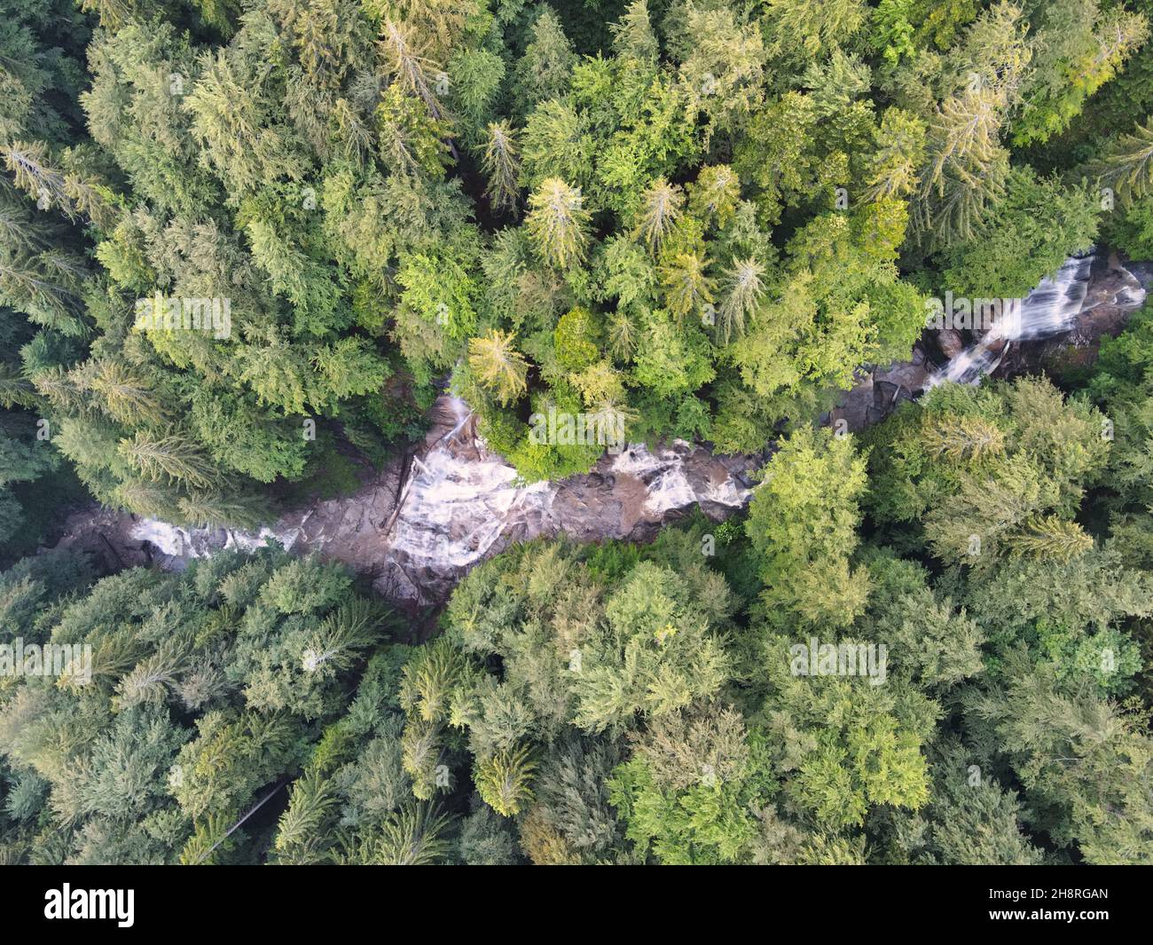 Top view of a fast-flowing river through the forest Stock Photo - Alamy