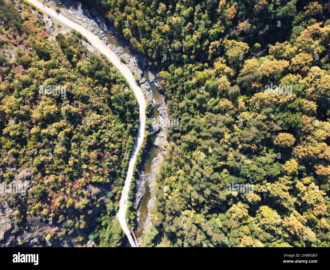 Top view of a flowing river separating the forest in two parts Stock ...