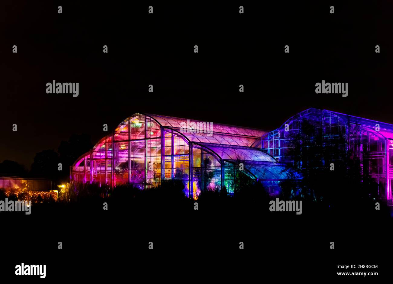 The iconic modern architecture Glasshouse illuminated during Glow 2021 ...