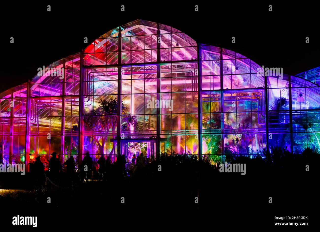 The iconic modern architecture Glasshouse illuminated during Glow 2021 ...
