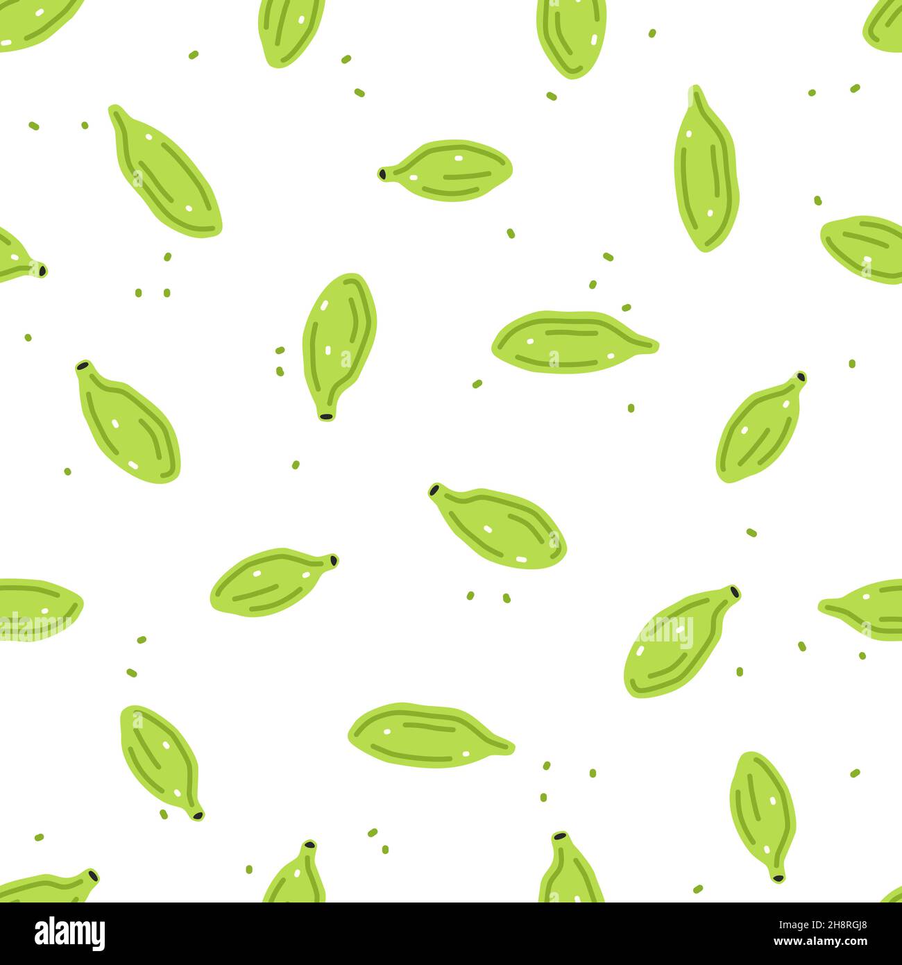 Cardamom pods on a white background. Vector seamless pattern Stock ...