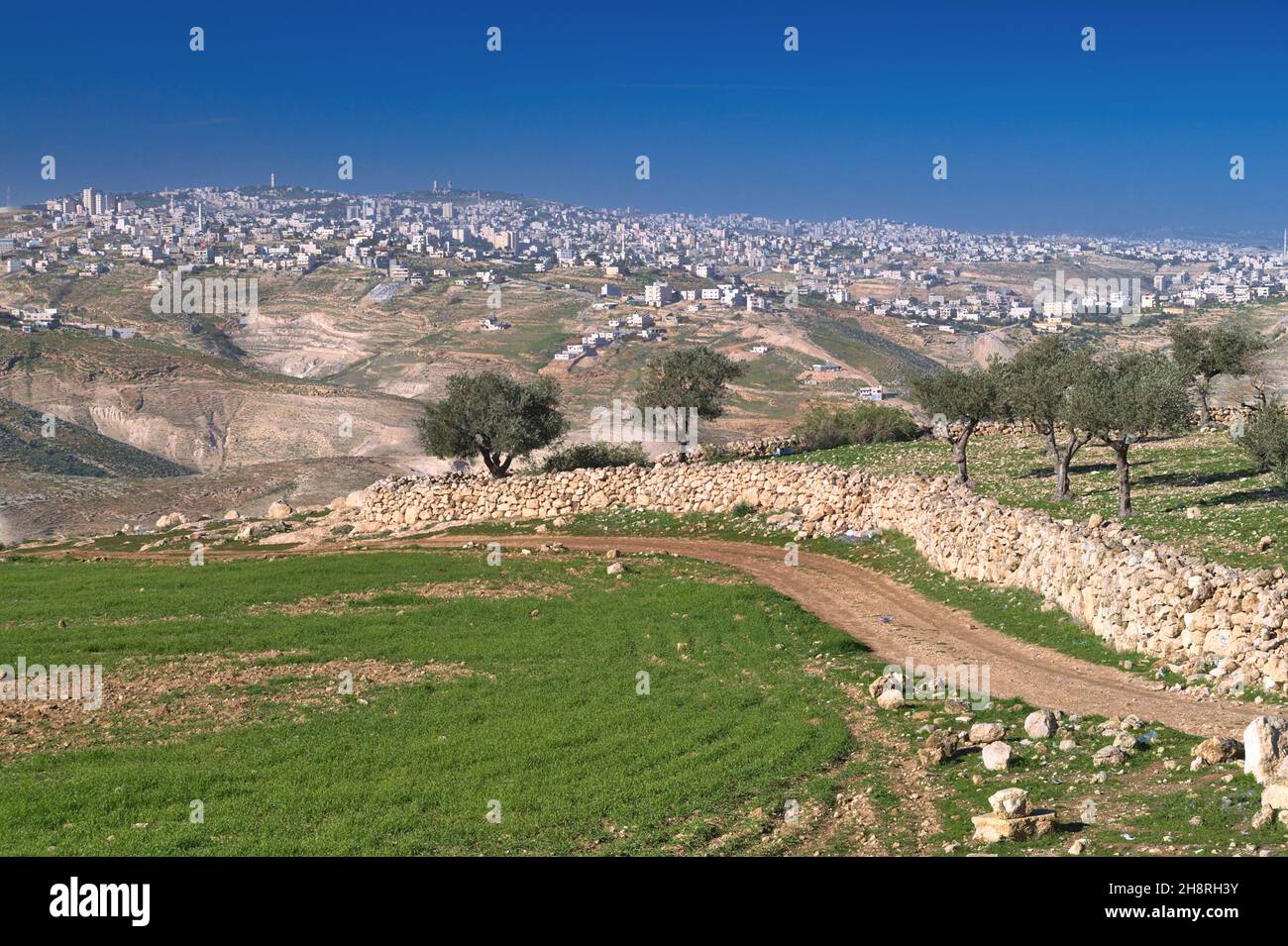 Palestine landscape hi-res stock photography and images - Alamy