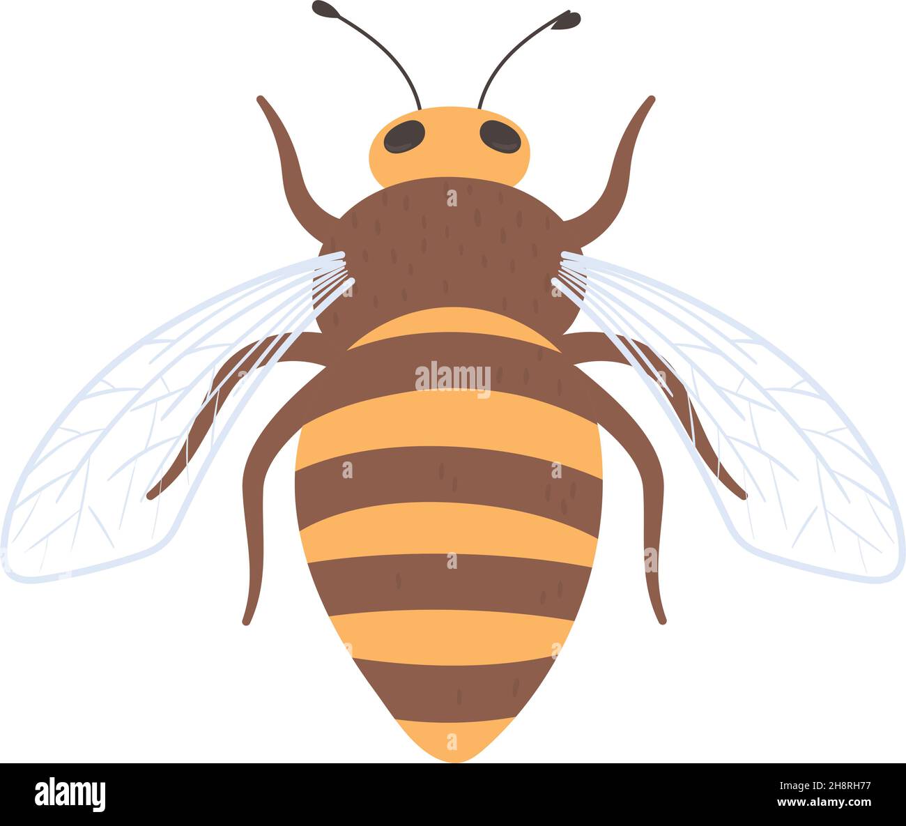 Bee Insect Icon Stock Vector Image Art Alamy