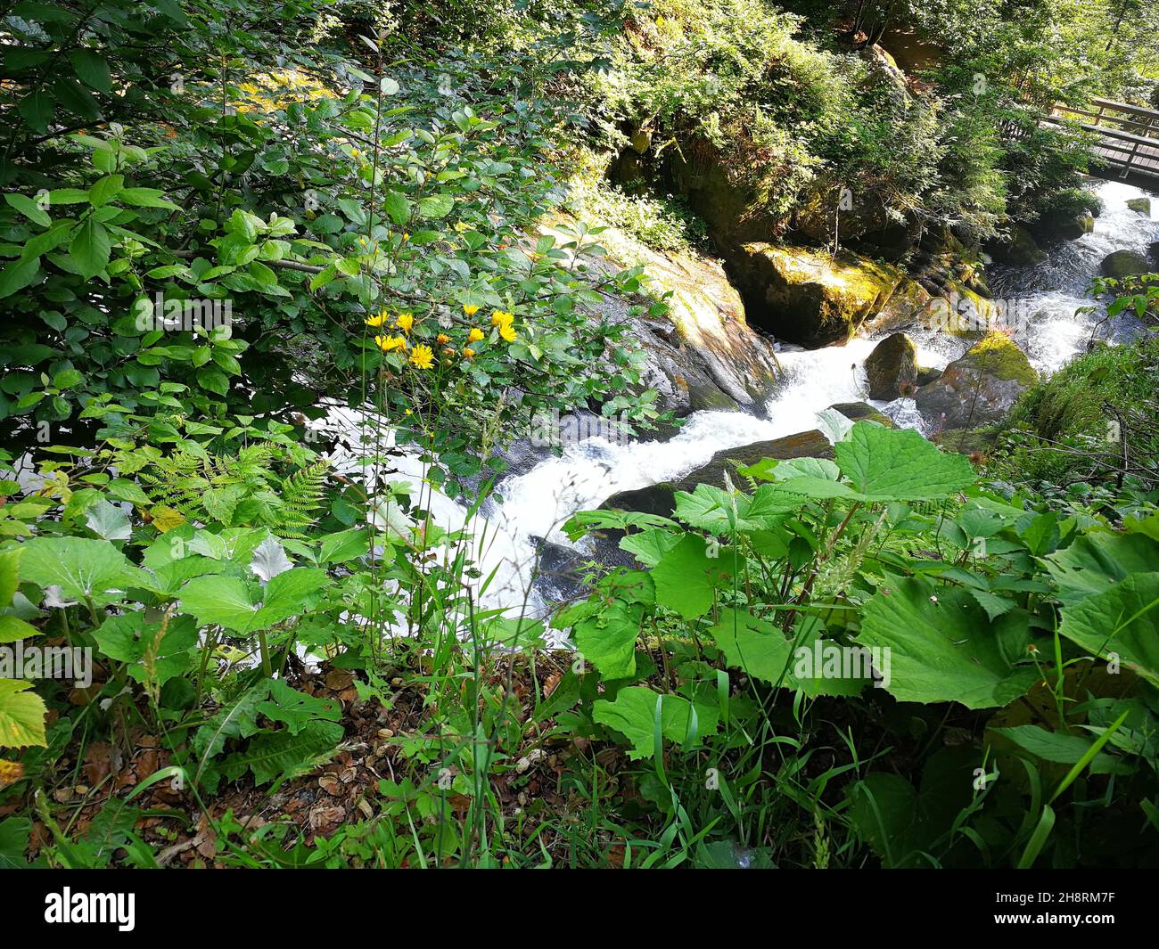 Natural landscape of a small waterfall in the forest Stock Photo - Alamy