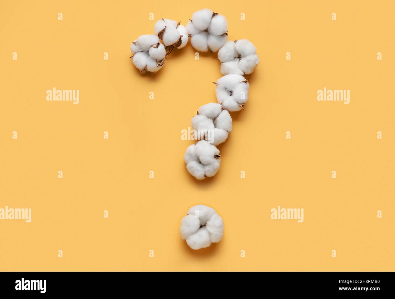 Question mark made of cotton flowers on color background Stock Photo ...