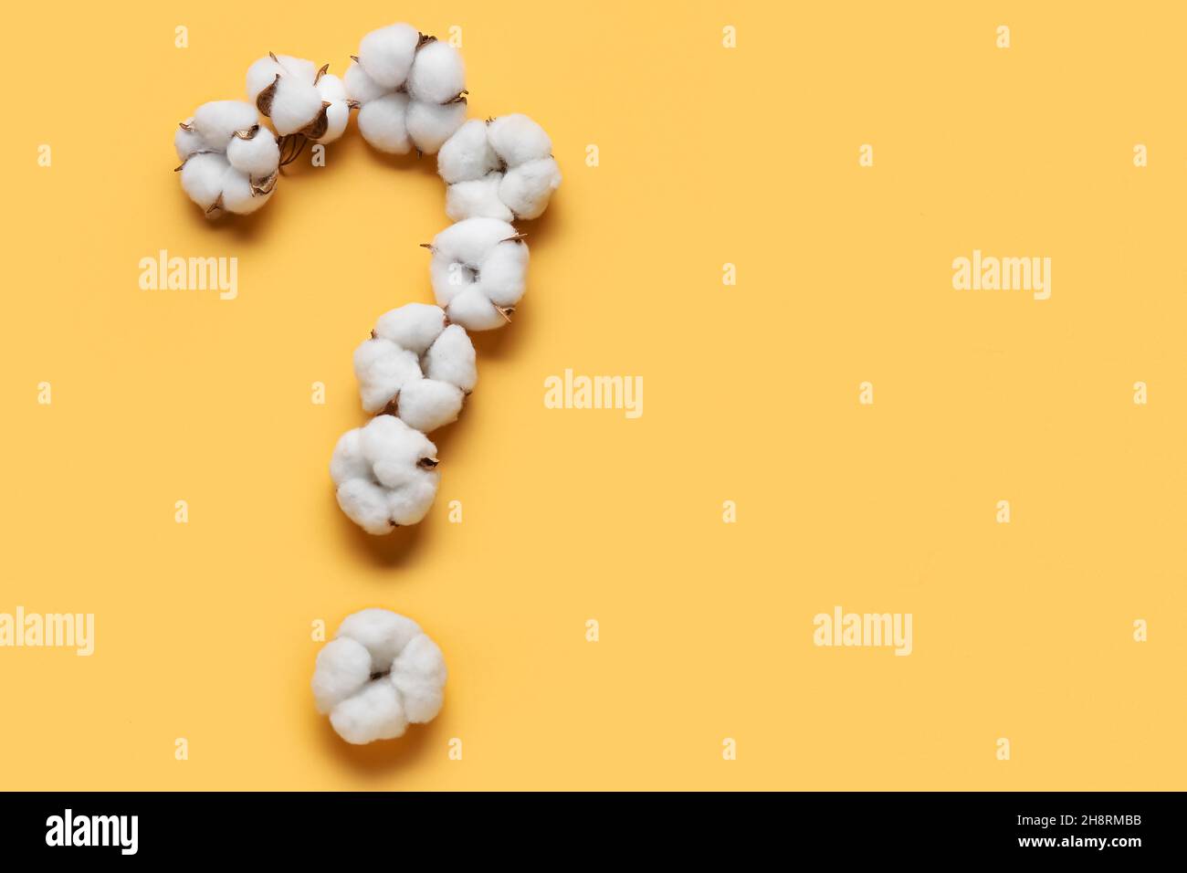 Question mark made of cotton flowers on color background Stock Photo ...