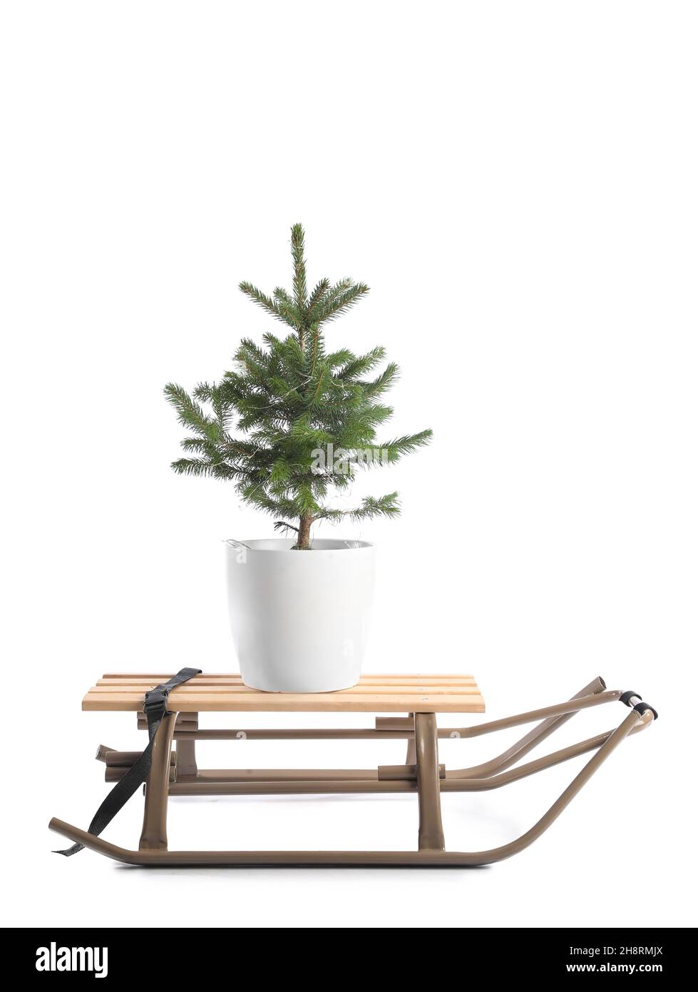 Snow sledding christmas Cut Out Stock Images & Pictures - Alamy