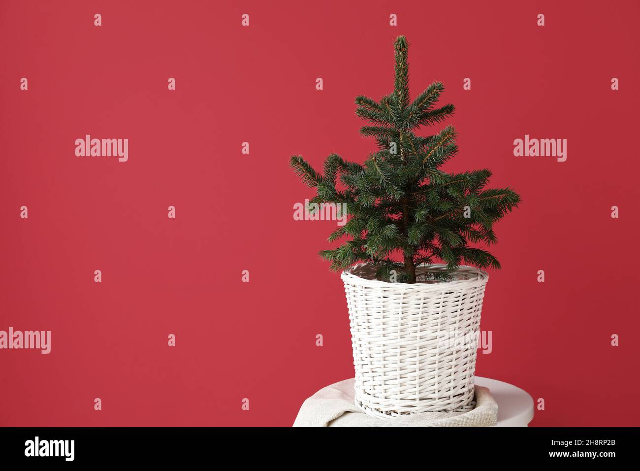 Beautiful Christmas tree in pot on table near red wall Stock Photo - Alamy