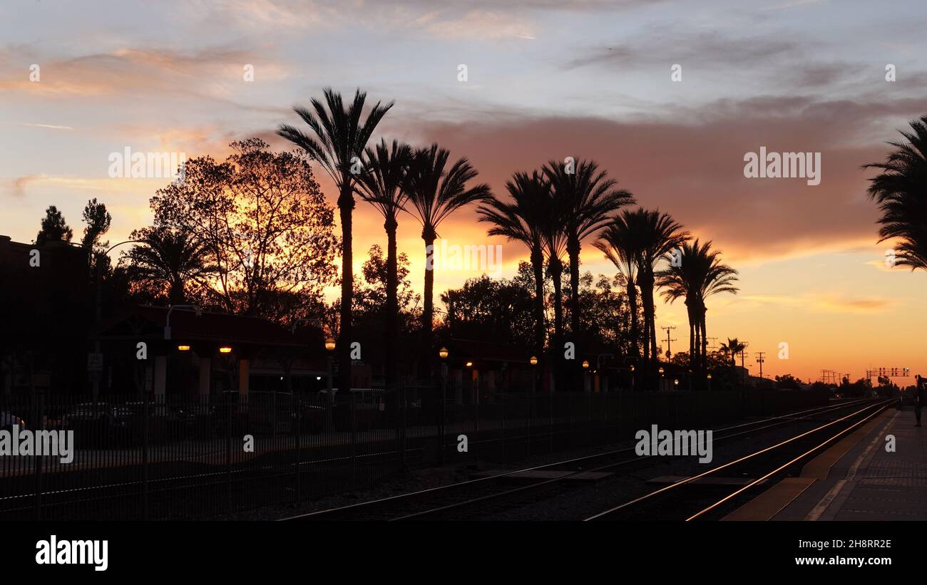 Colorful sunset behind palm trees at the train station Stock Photo - Alamy