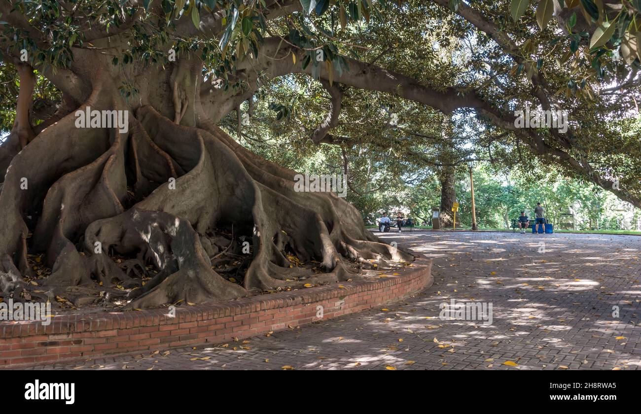 Argentina pampas not patagonia hi-res stock photography and images - Alamy
