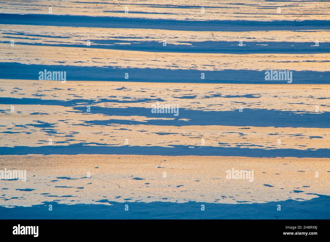 A field of Ice-covered snow, Greater Sudbury, Ontario, Canada Stock ...