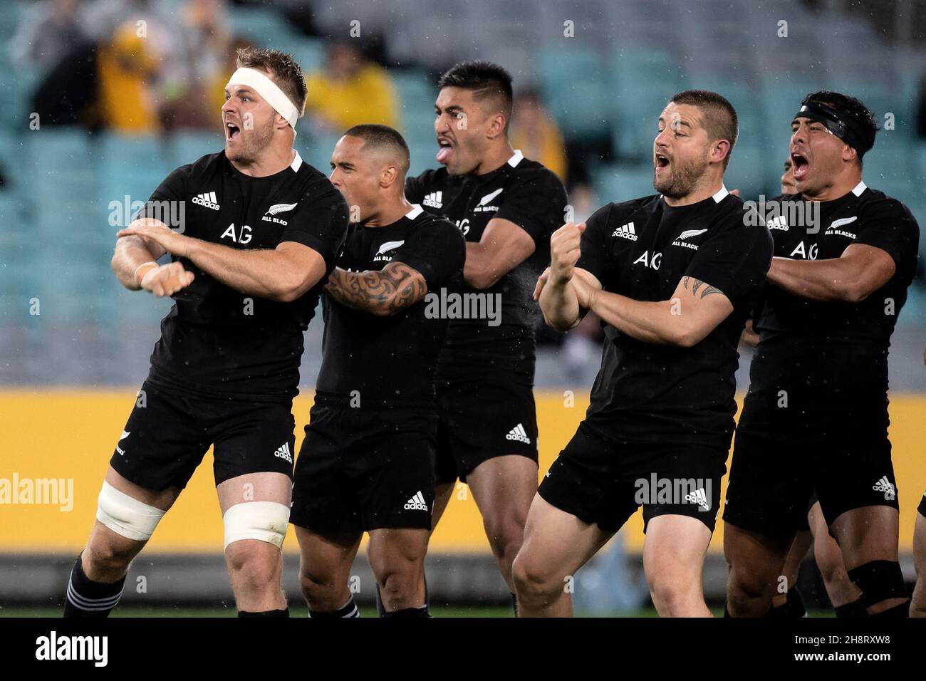 New Zealand perform the Haka before the Bledisloe Cup match between the ...