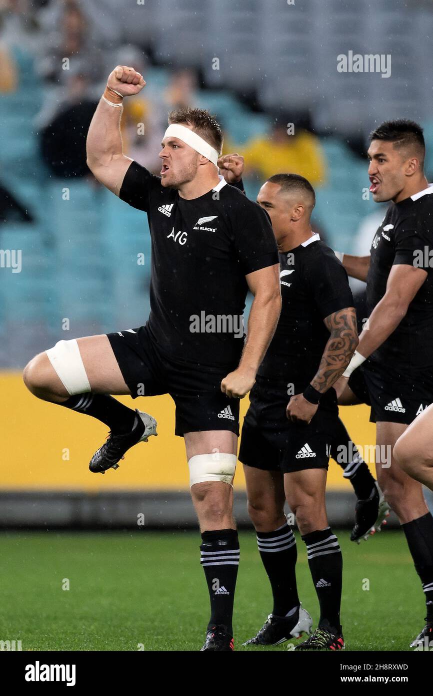 New Zealand perform the Haka before the Bledisloe Cup match between the ...