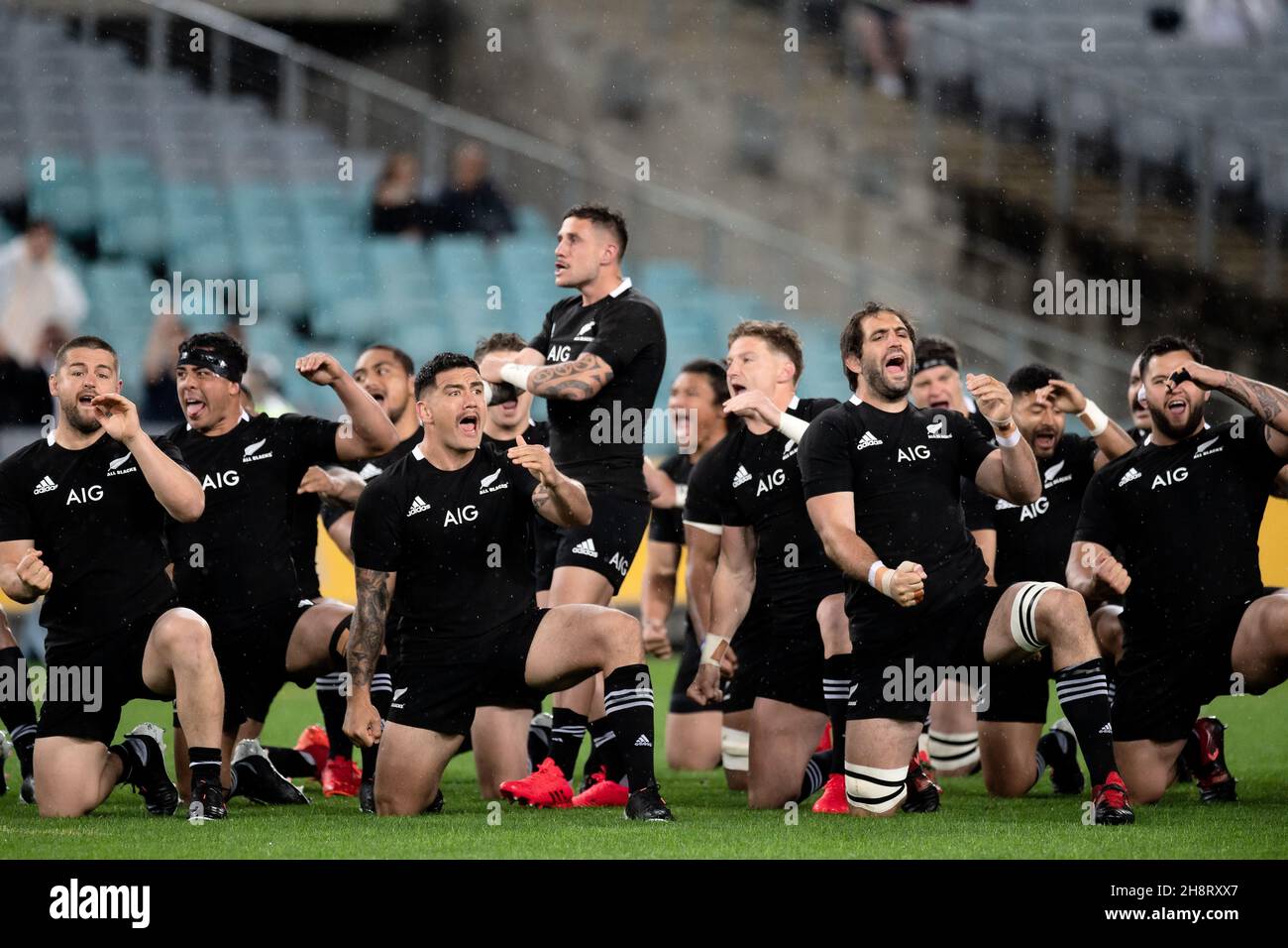 New Zealand perform the Haka before the Bledisloe Cup match between the ...
