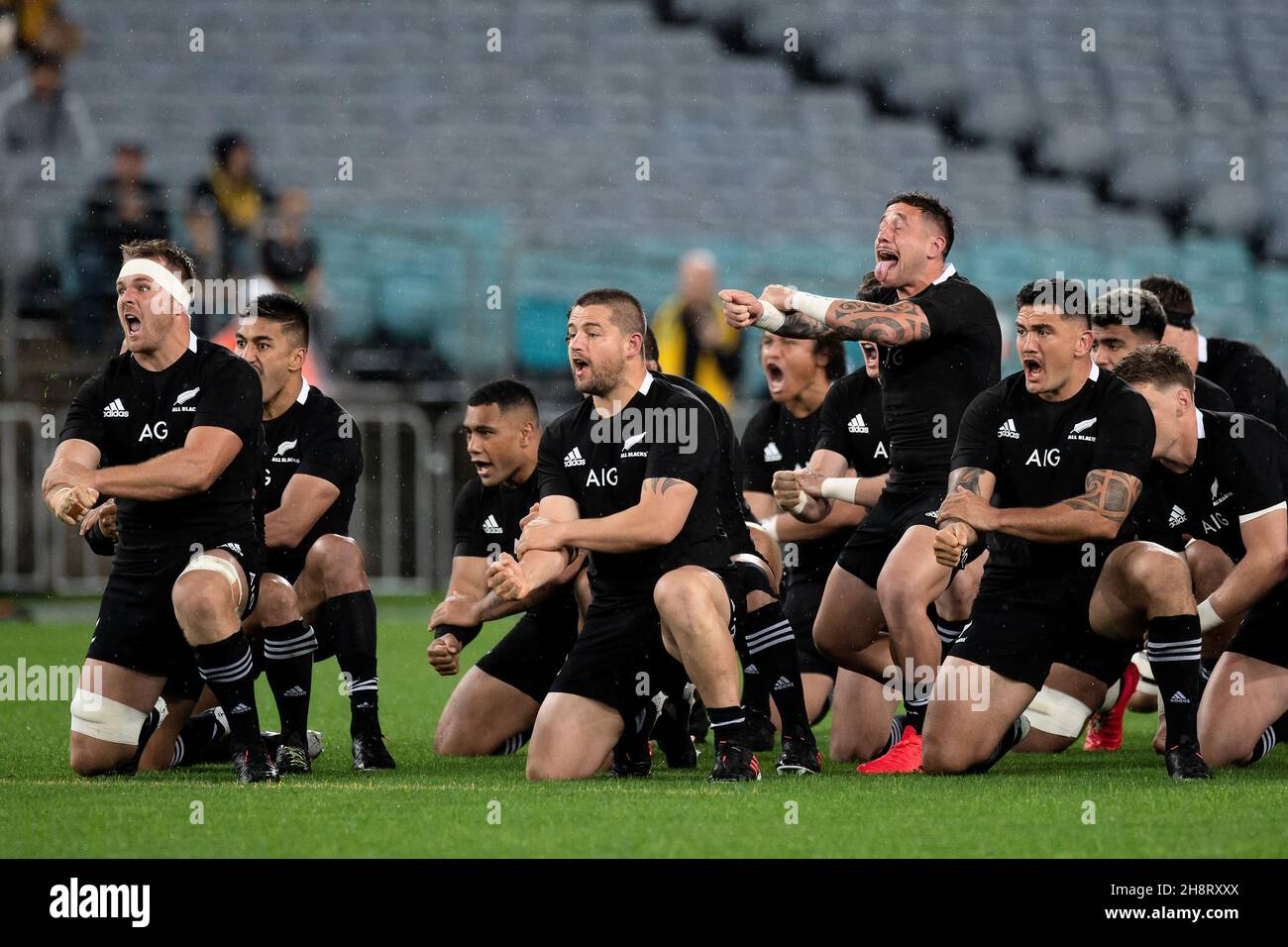 New Zealand perform the Haka before the Bledisloe Cup match between the ...