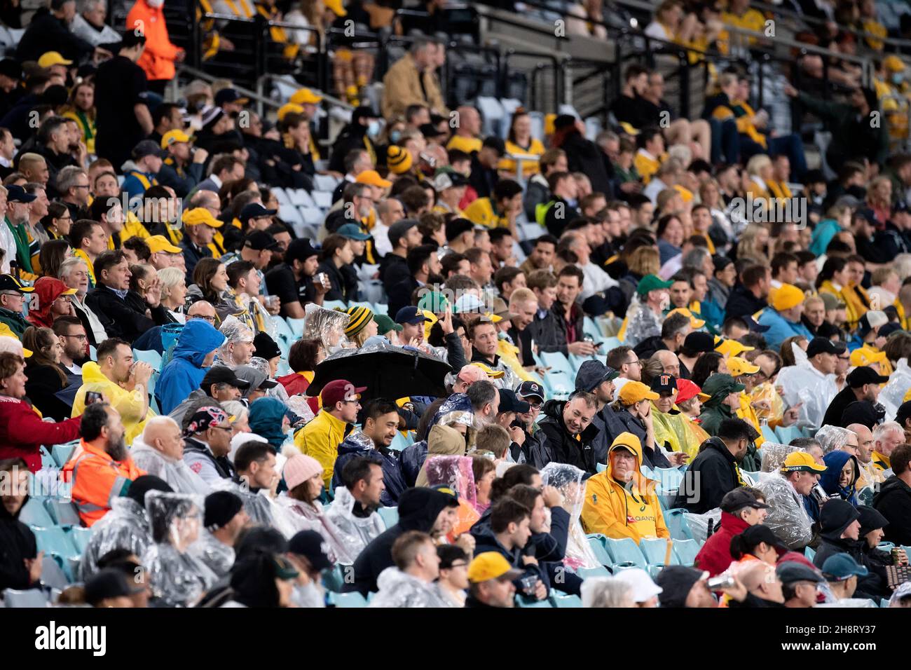 A good crowd during the Bledisloe Cup match between the Australian ...