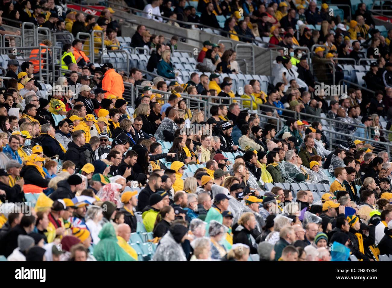A good crowd during the Bledisloe Cup match between the Australian ...