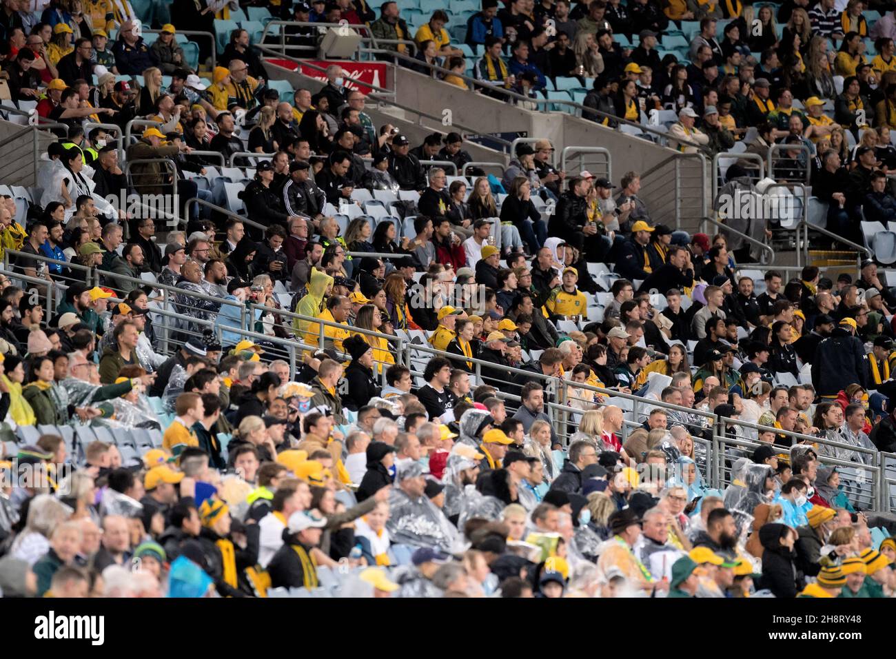 A good crowd during the Bledisloe Cup match between the Australian ...
