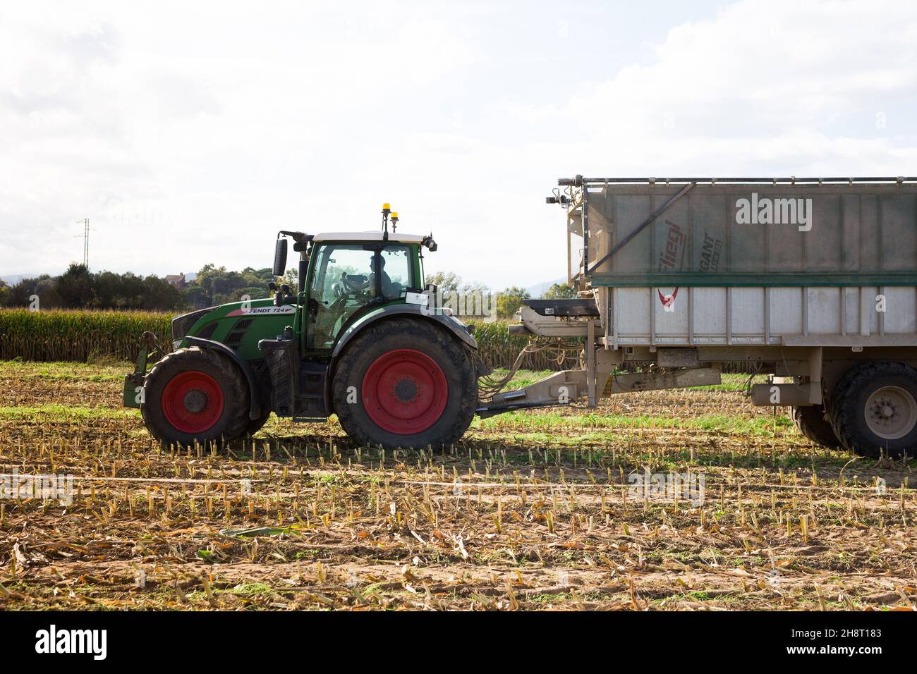 Process of corn silage harvest at farm Stock Photo - Alamy