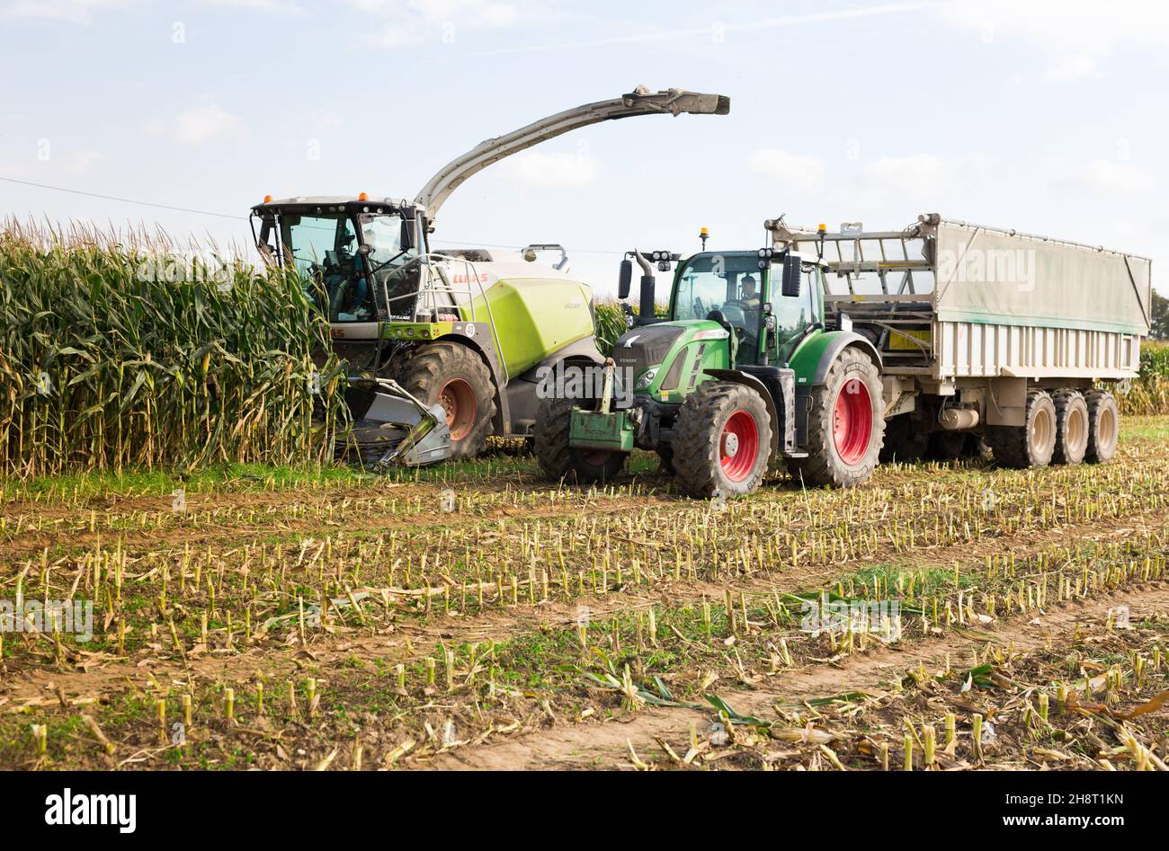 Corn silage biogas production hi-res stock photography and images - Alamy