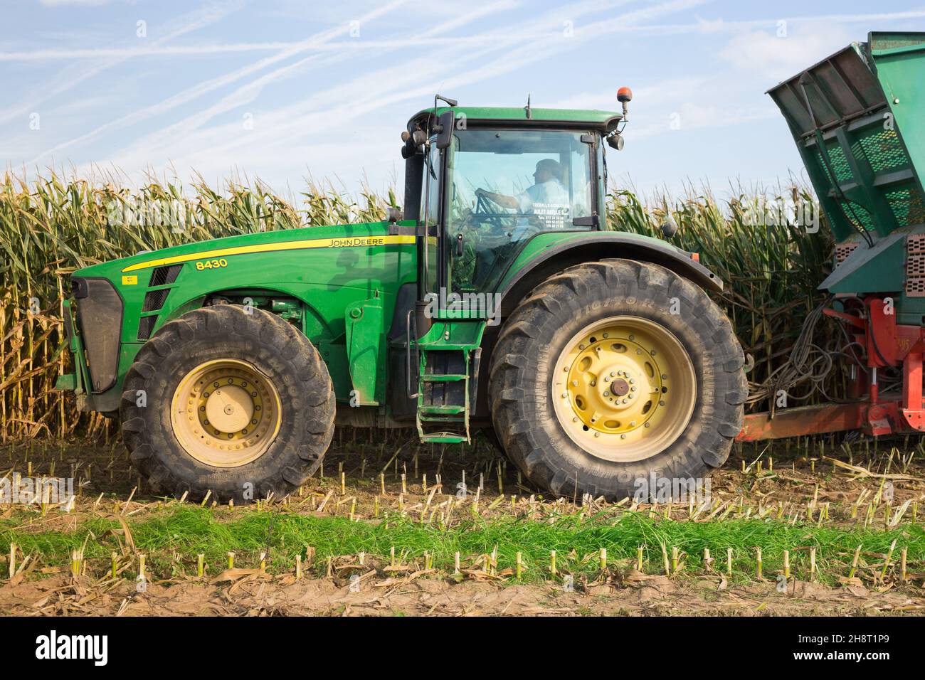 Tractor with truck trailer moving on corn field during mowing Stock ...