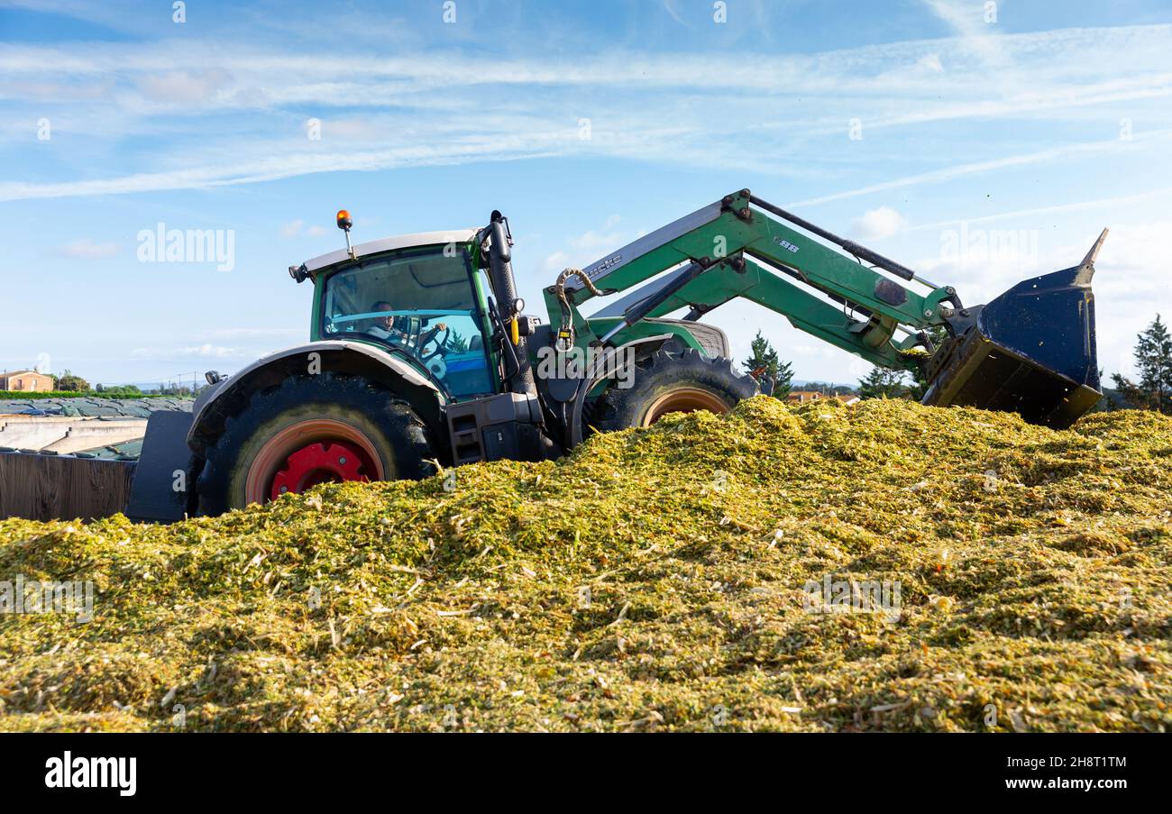 Biomass plant cattle hi-res stock photography and images - Alamy