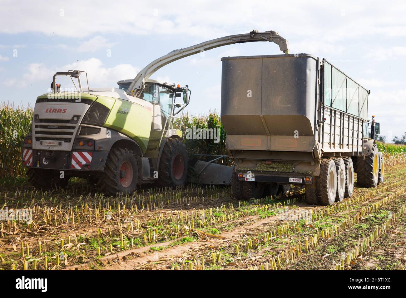 Corn silage biogas production hi-res stock photography and images - Alamy