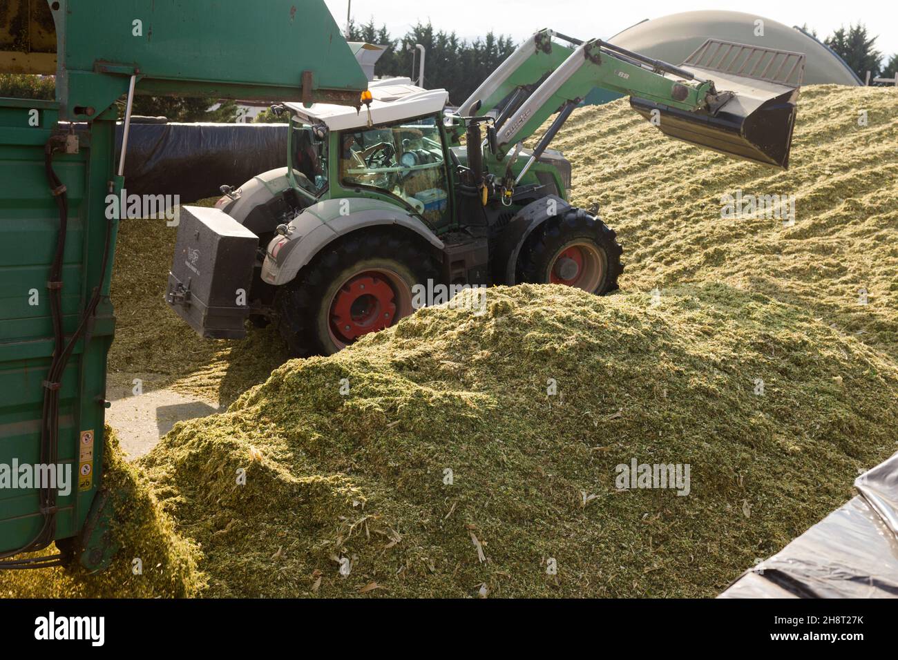 Farm Mas Bes, Spain - October 20, 2021: Preparation of chopped corn for ...
