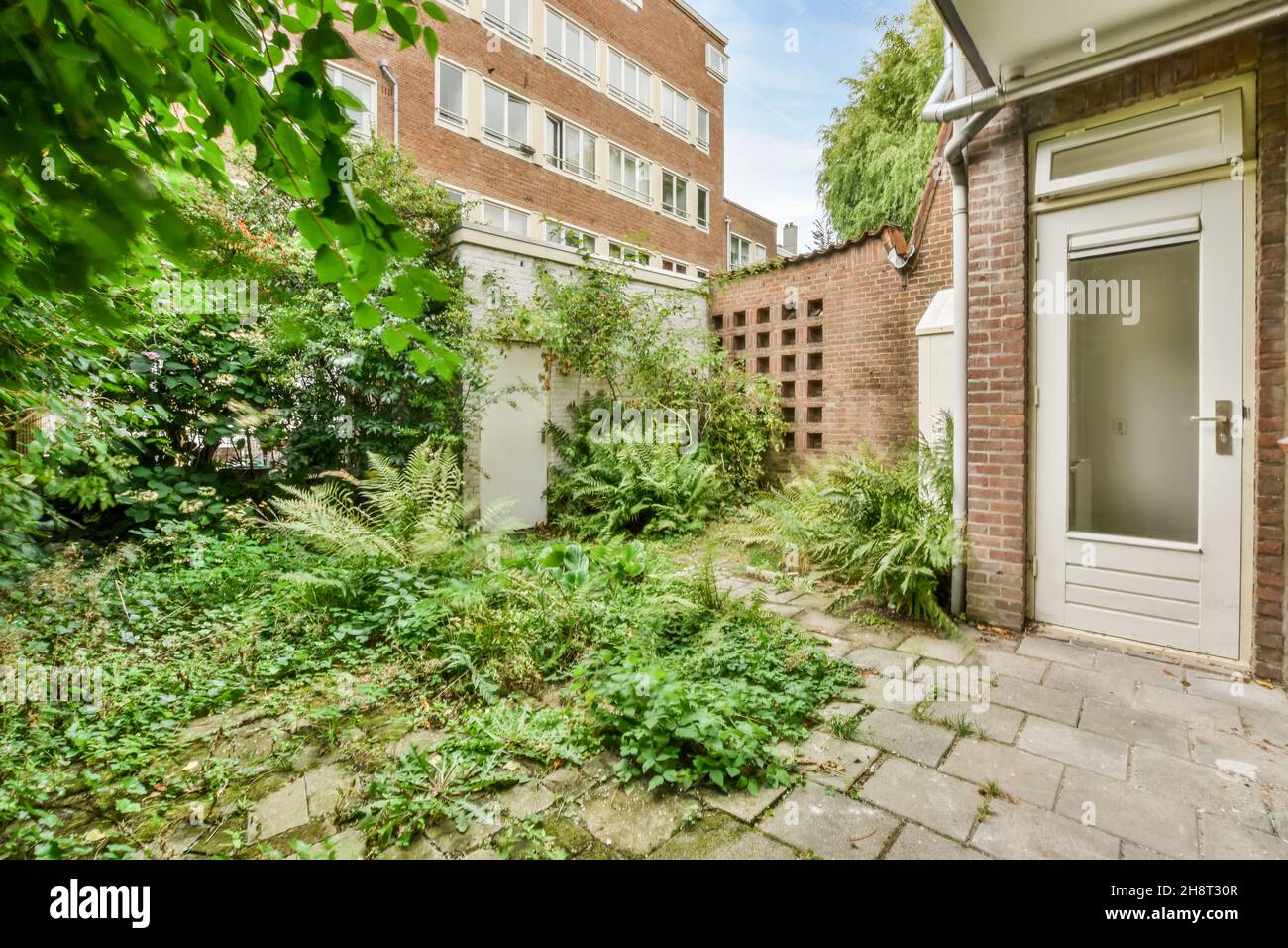 Unkempt courtyard of the house overgrown with greenery Stock Photo - Alamy