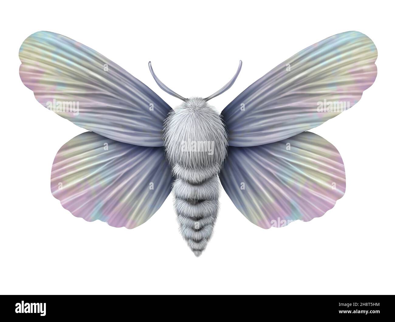 Moth insect isolated on a white background in a 3D illustration style ...
