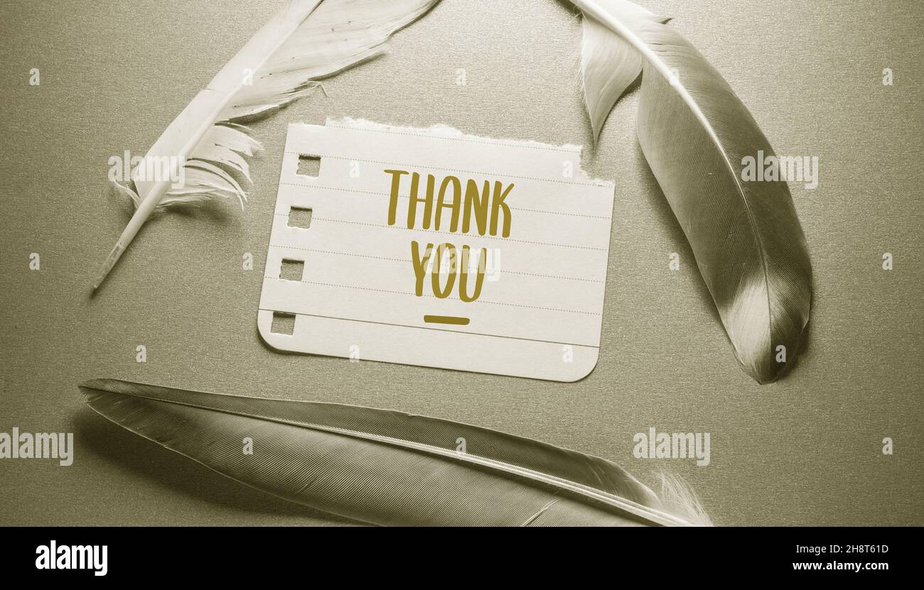 Close up of Thank You Word , Thanks Concept Idea Stock Photo - Alamy