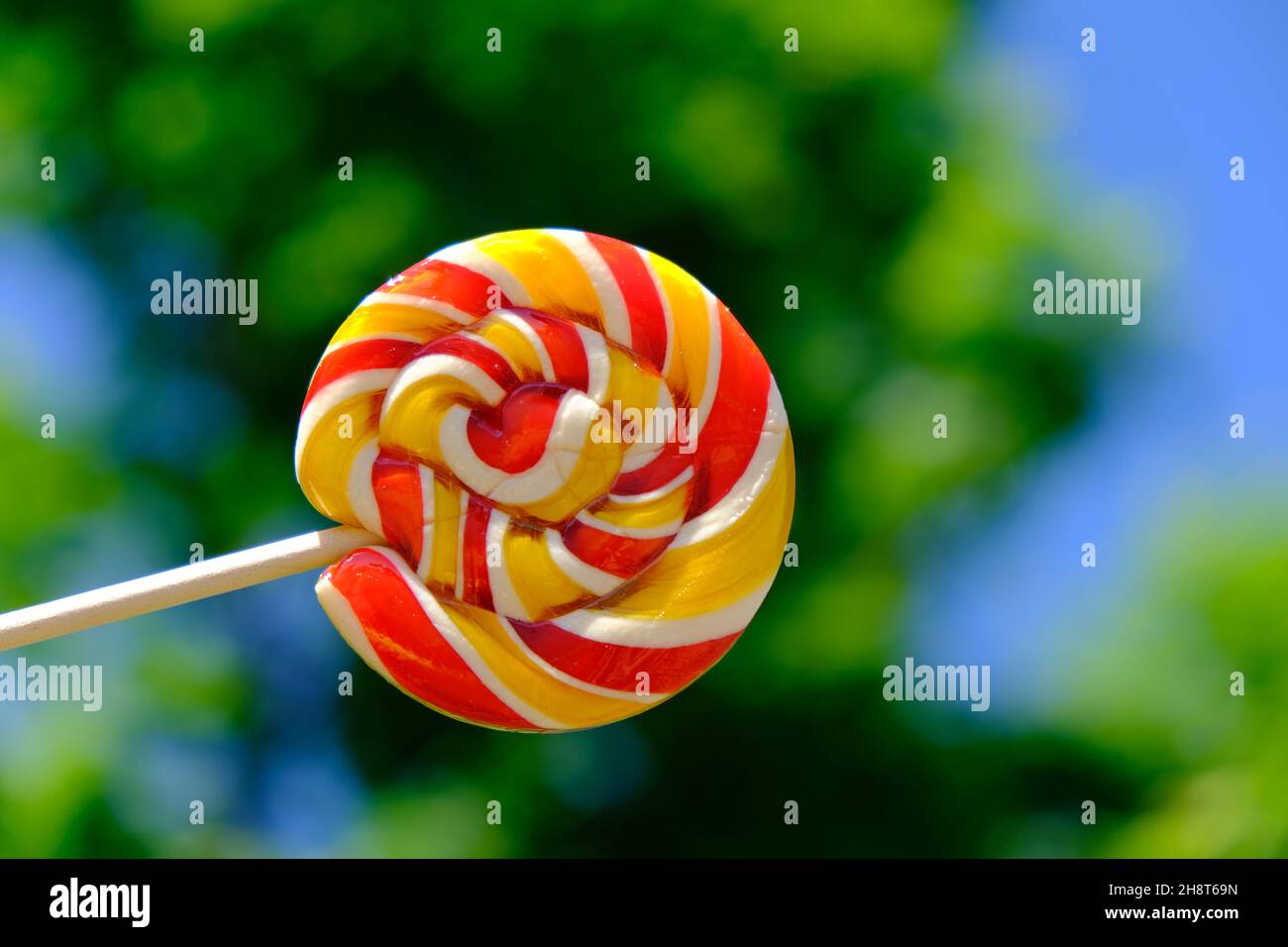 Colorful rainbow lollipop and nature background. High quality photo ...