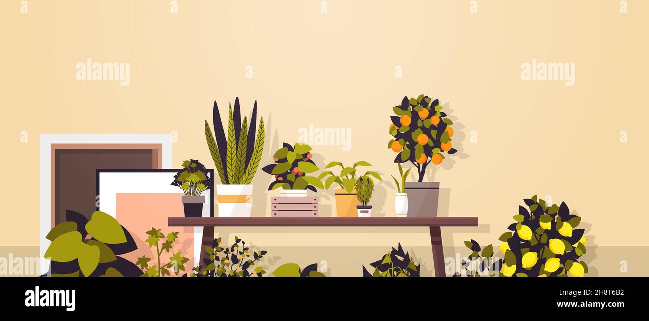 greenhouse potted plants on table gardening concept horizontal Stock ...