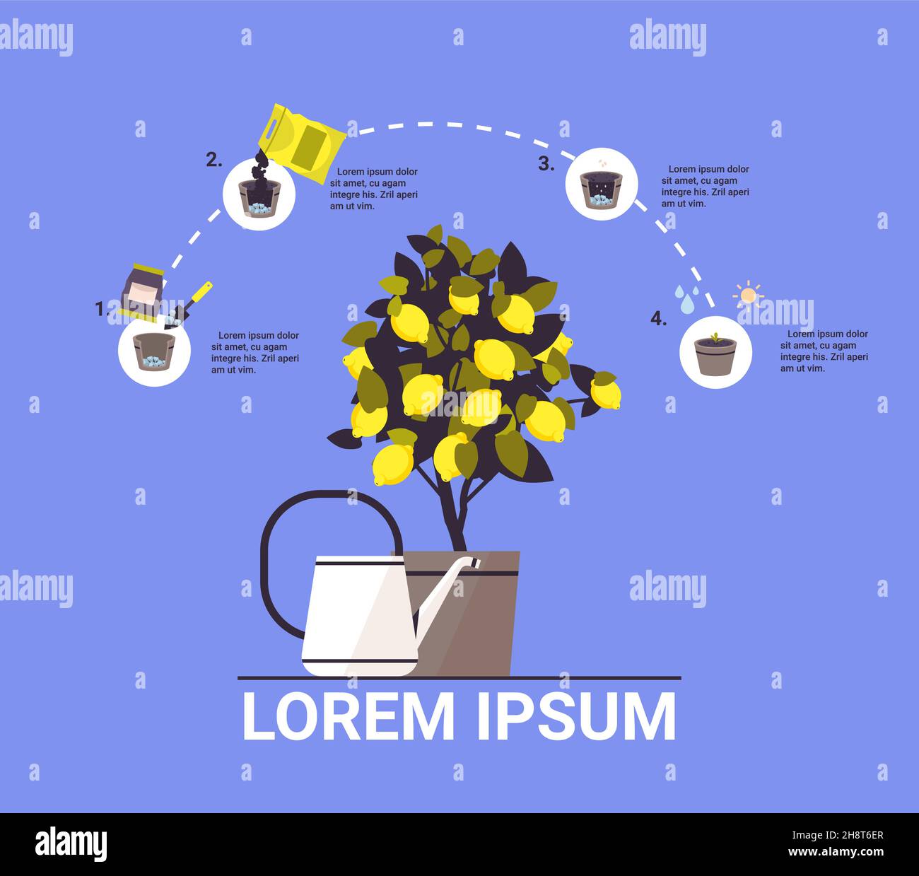 Lemon tree growing in pot Stock Vector Images - Alamy