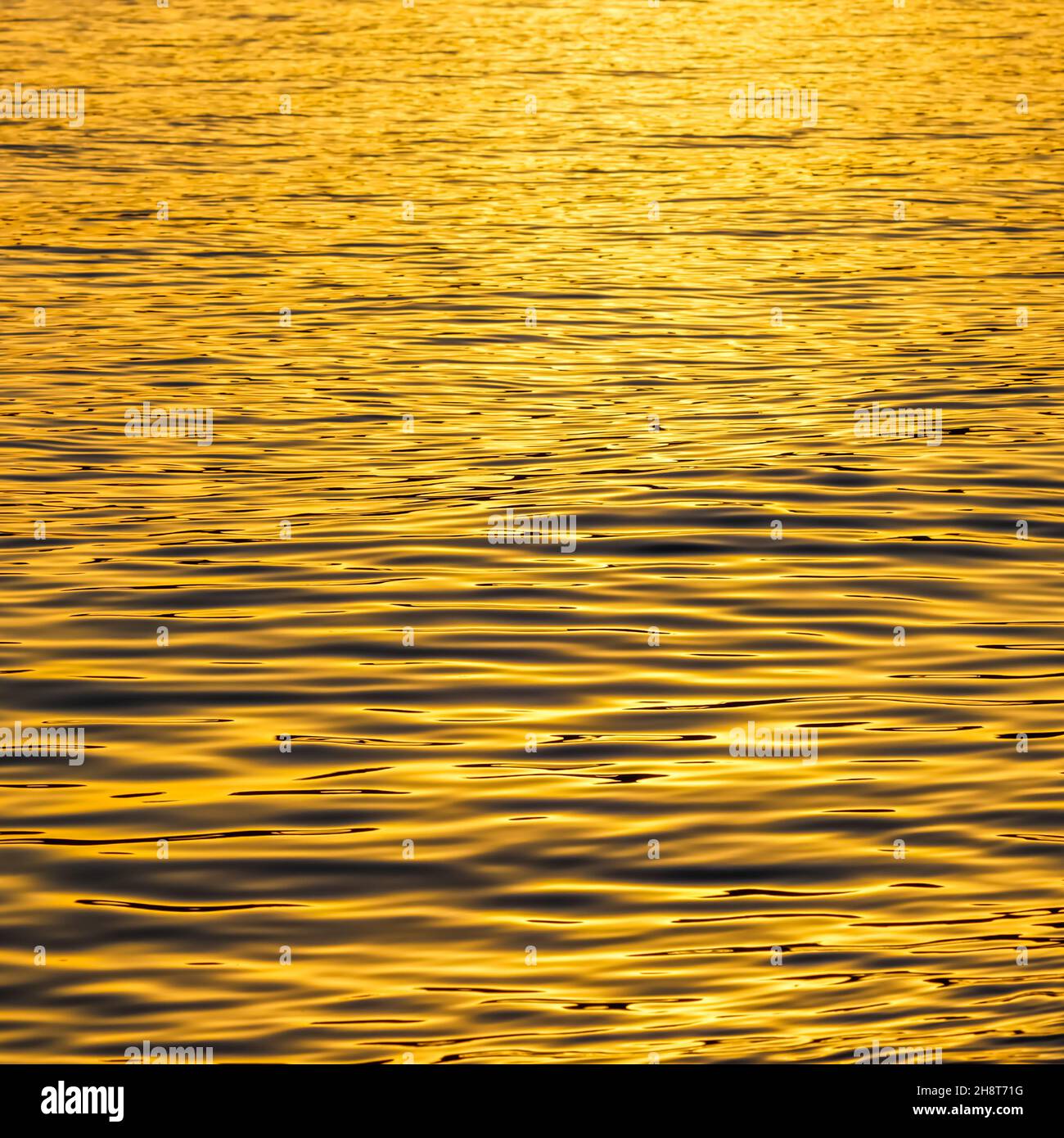 Golden sea waves in sunset glow as surface background. Summer holidays ...