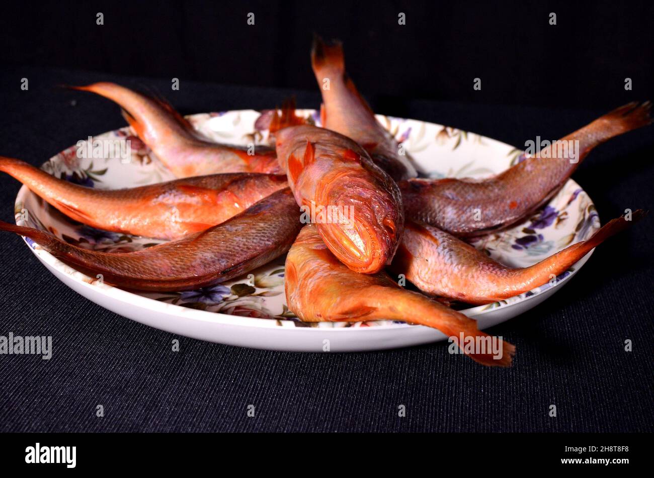 Telia bhola fish hi-res stock photography and images - Alamy
