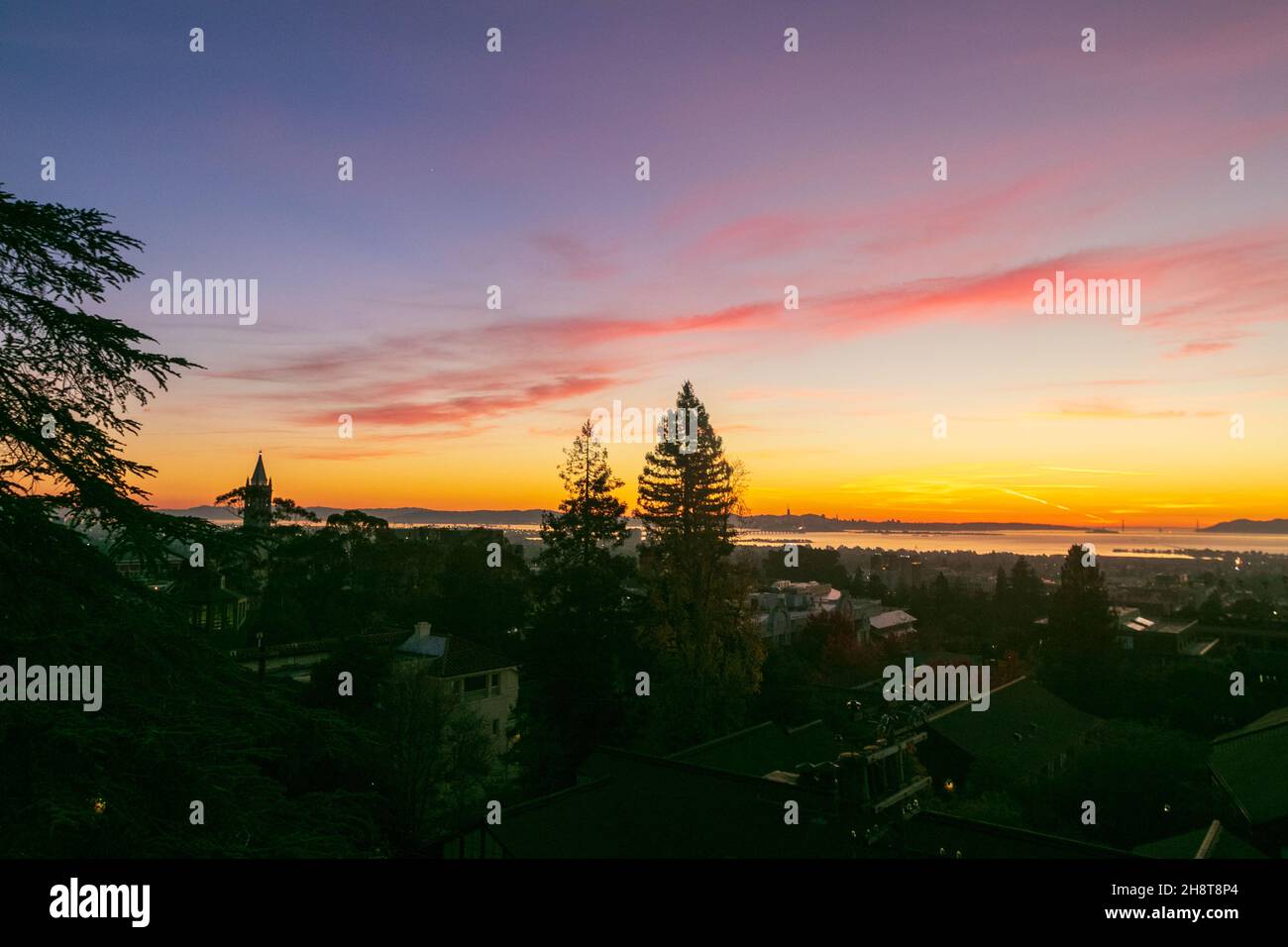 University of california berkeley golden bears hi-res stock photography ...