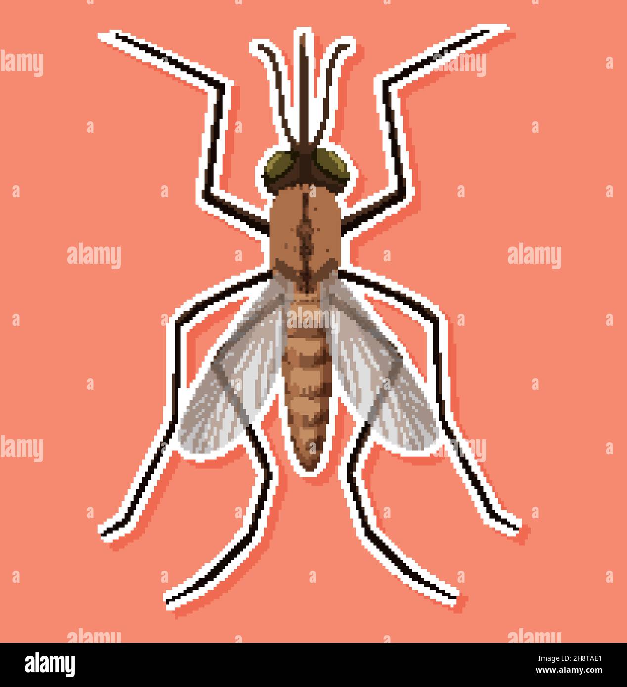 Top view of mosquito in cartoon style illustration Stock Vector Image ...