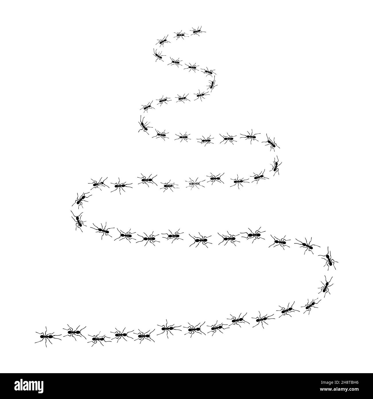 Worker ants trail line flat style design vector illustration isolated on white background Stock ...