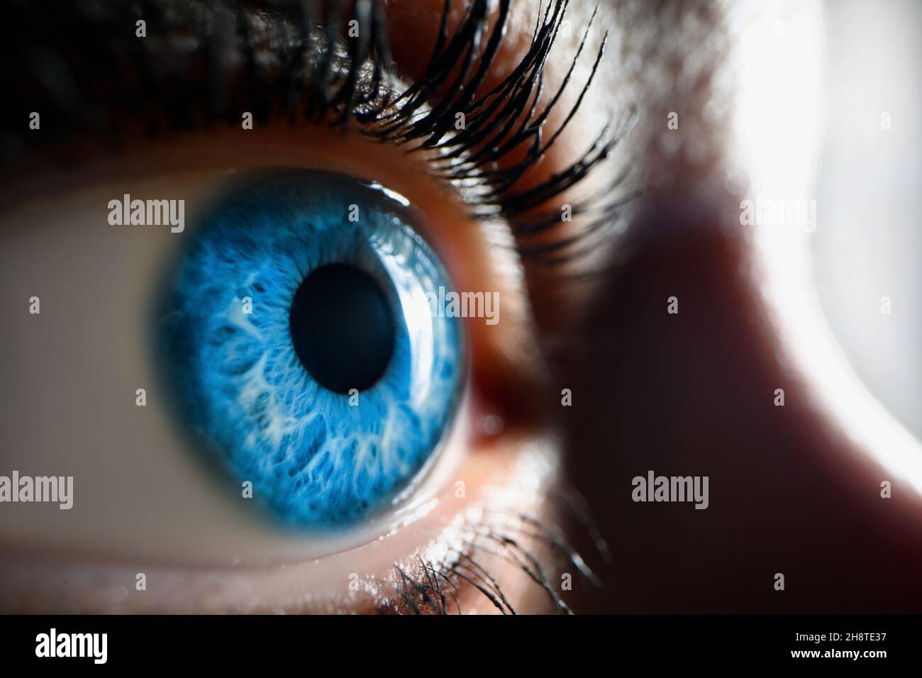 Blue lenses hi-res stock photography and images - Alamy