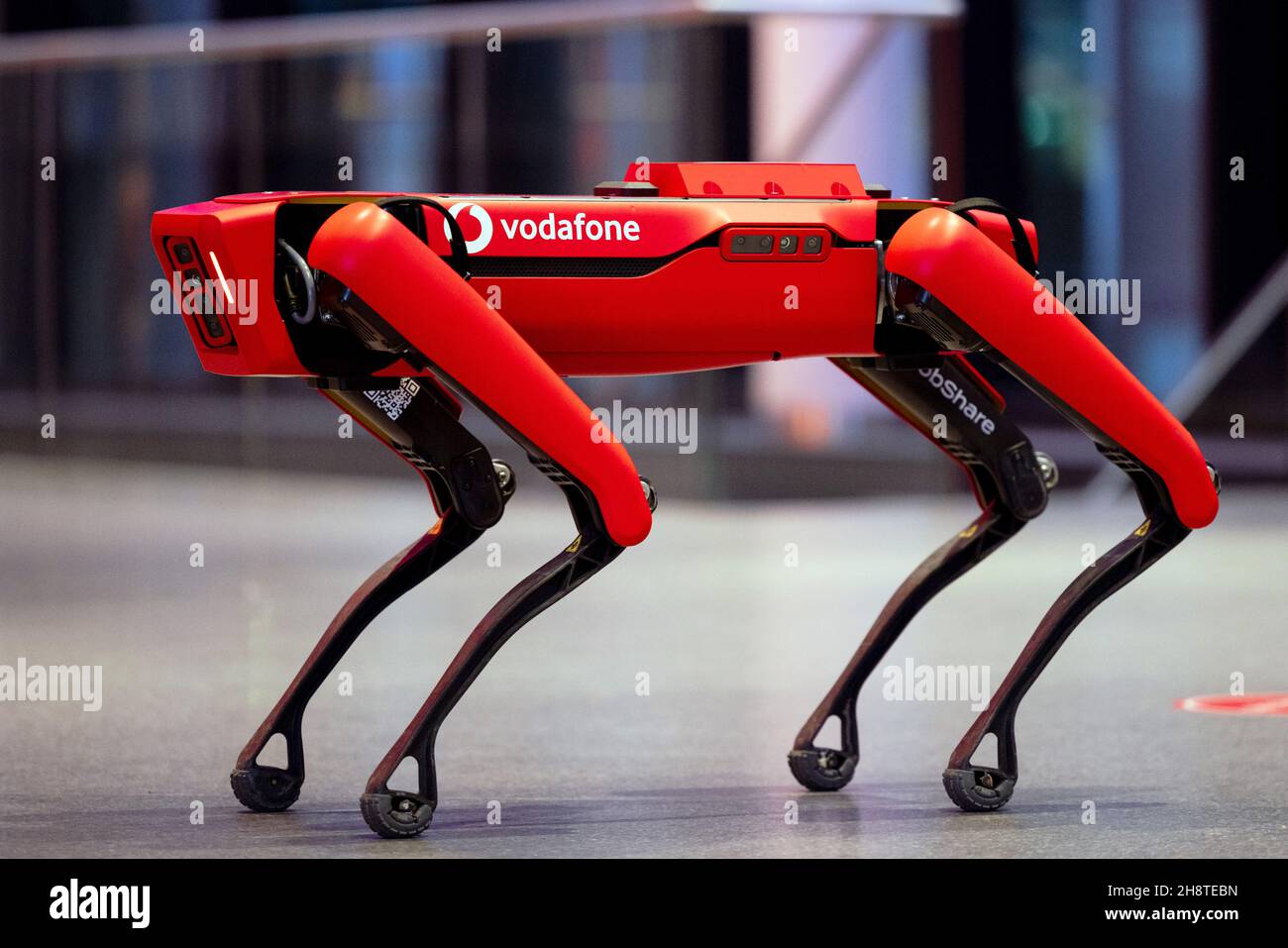 Duesseldorf, Germany. 30th Nov, 2021. The robot dog "Spot" from the ...
