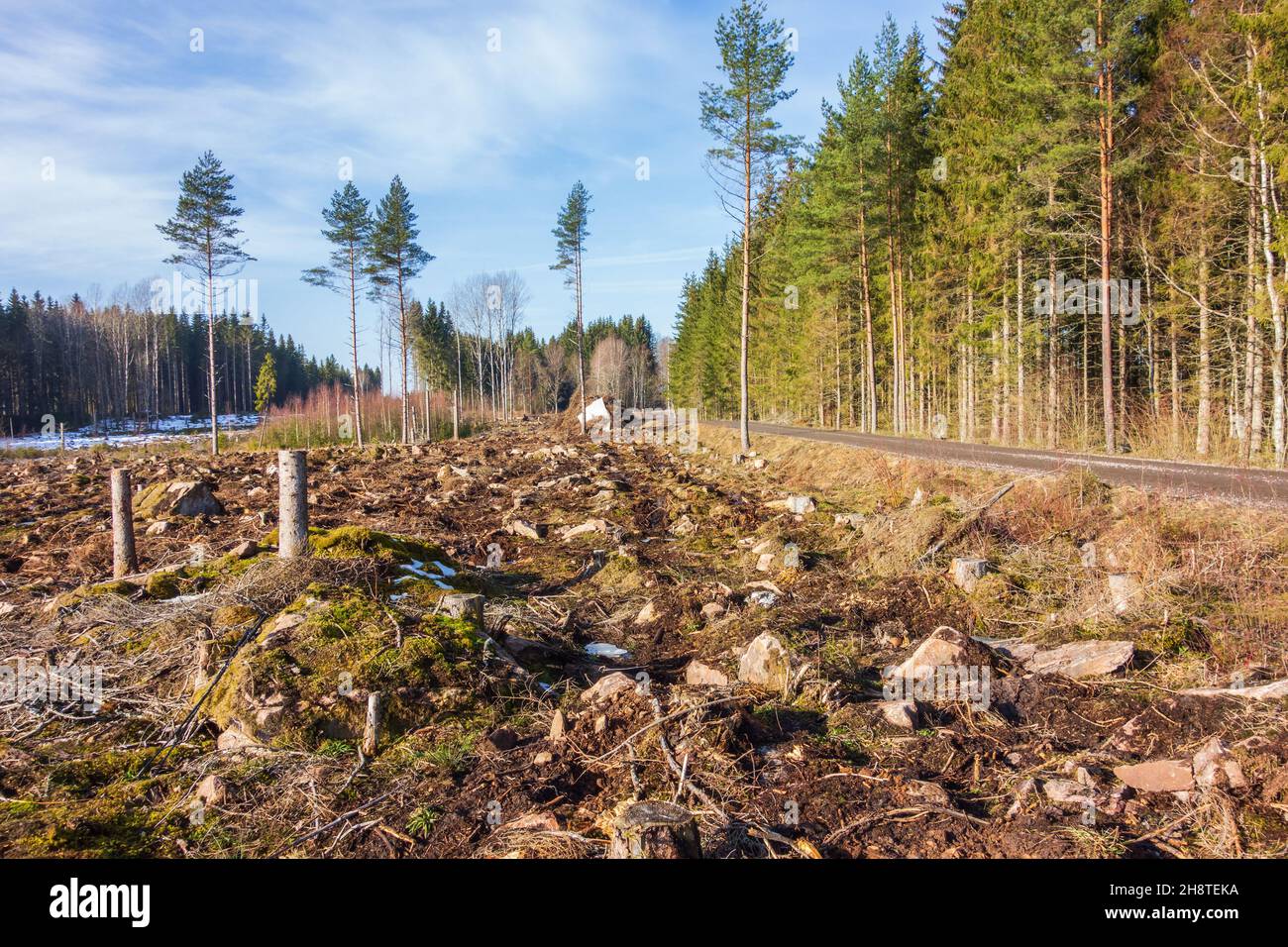 Boreal deforestation hi-res stock photography and images - Alamy
