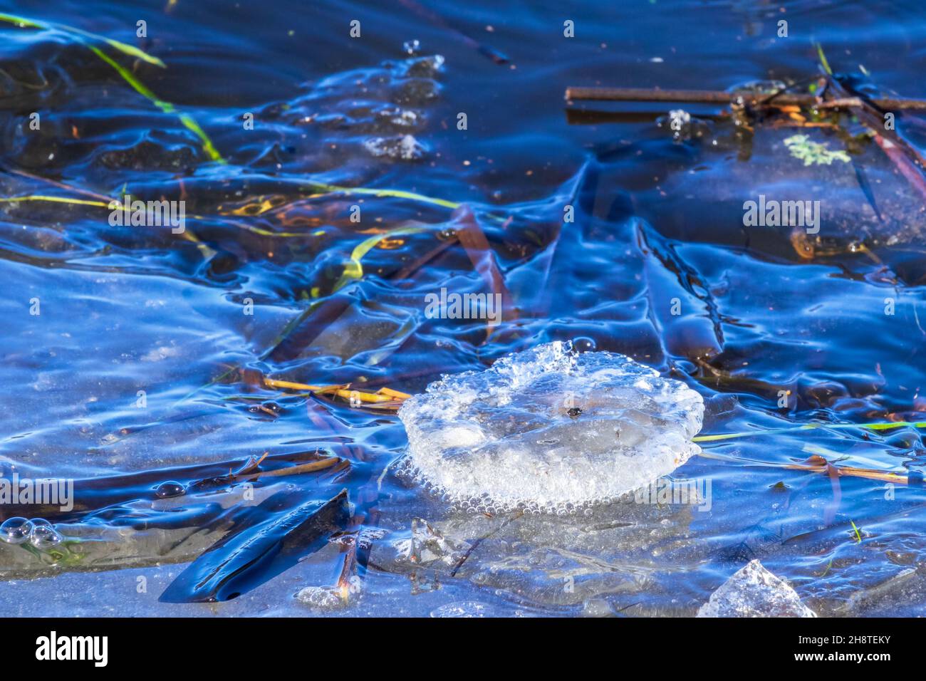Ice floes melting in early spring Stock Photo - Alamy