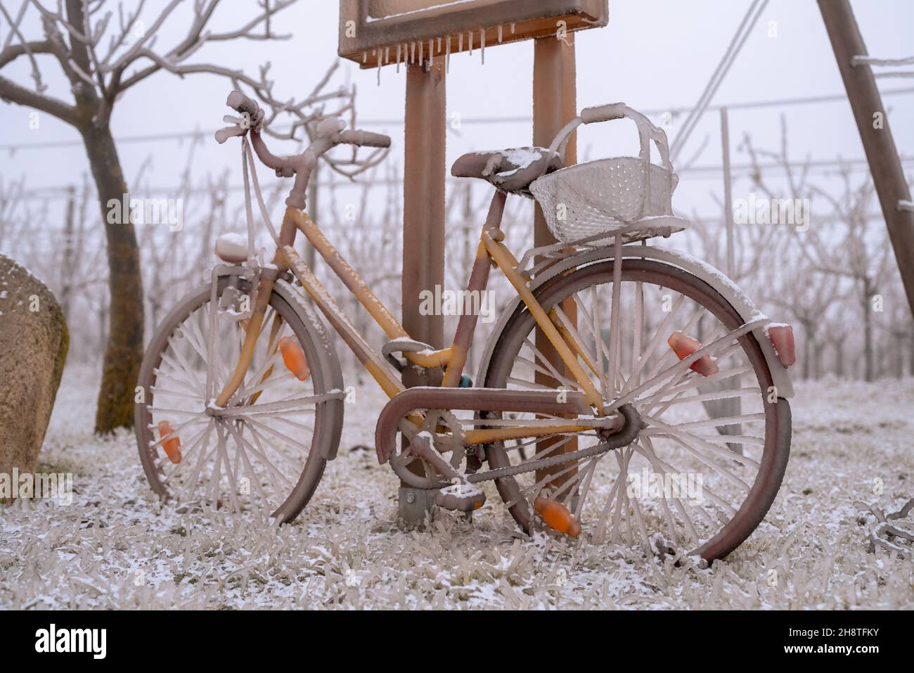 Frozen bike covered with ice. Frozen bike in the middle of wintry ...