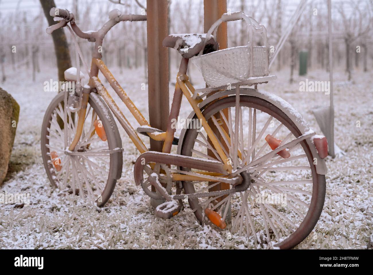 Frozen bike covered with ice. Frozen bike in the middle of wintry ...