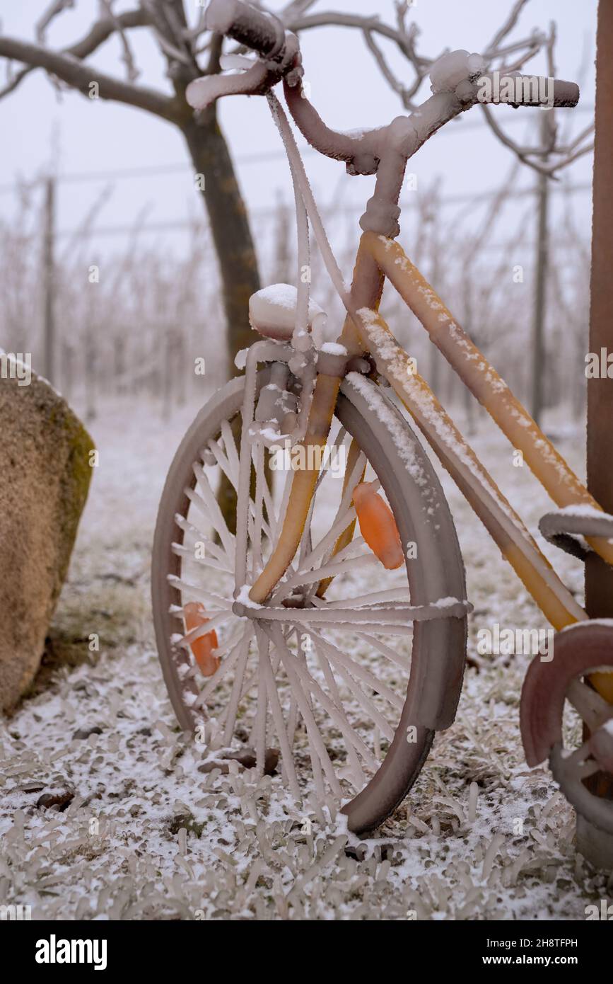 Frozen bike covered with ice. Frozen bike in the middle of wintry ...