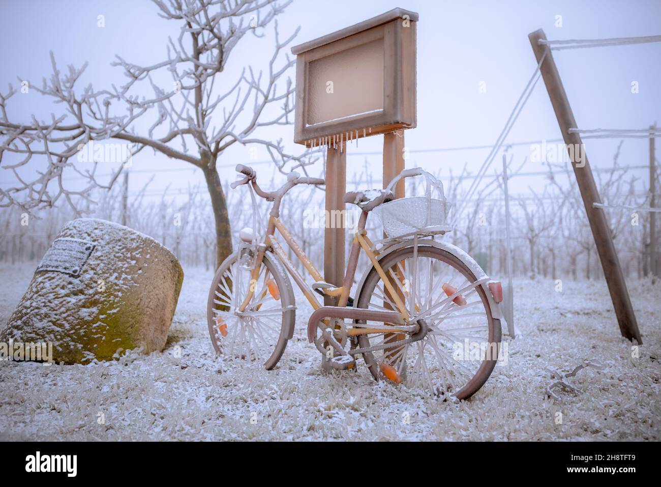 Frozen bike covered with ice. Frozen bike in the middle of wintry ...