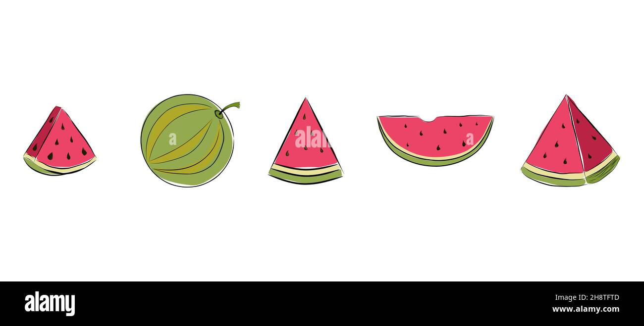 Various pieces of watermelon, drawn by hand Stock Vector Image & Art ...