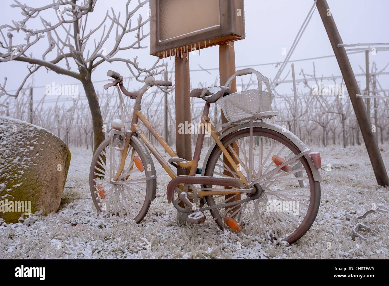 Frozen bike covered with ice. Frozen bike in the middle of wintry ...
